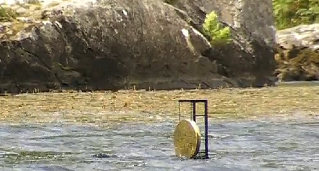 Der goldene Golf-Schuss